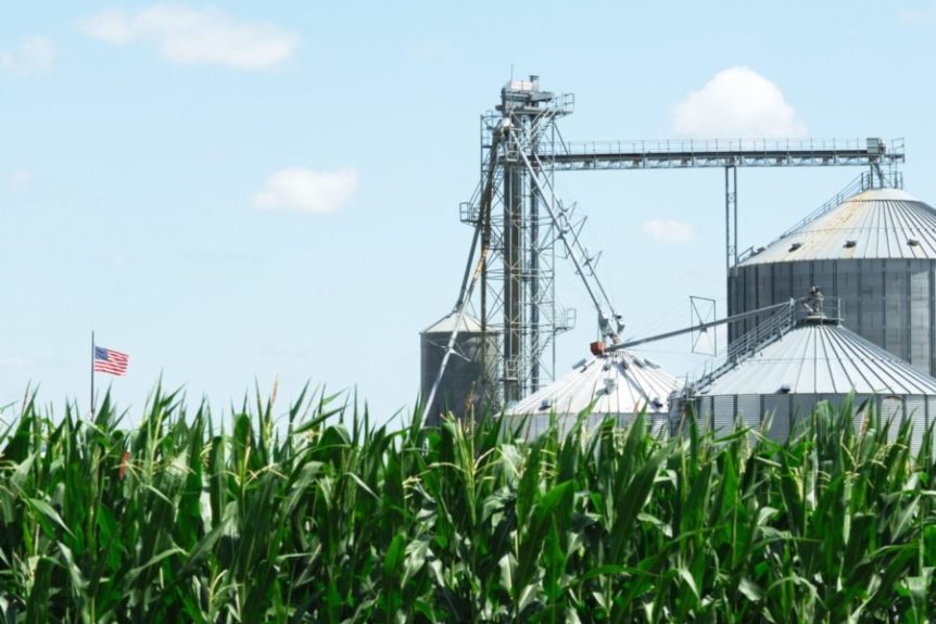 WASDE Increases Corn for Ethanol Use | Energy.AgWired.com