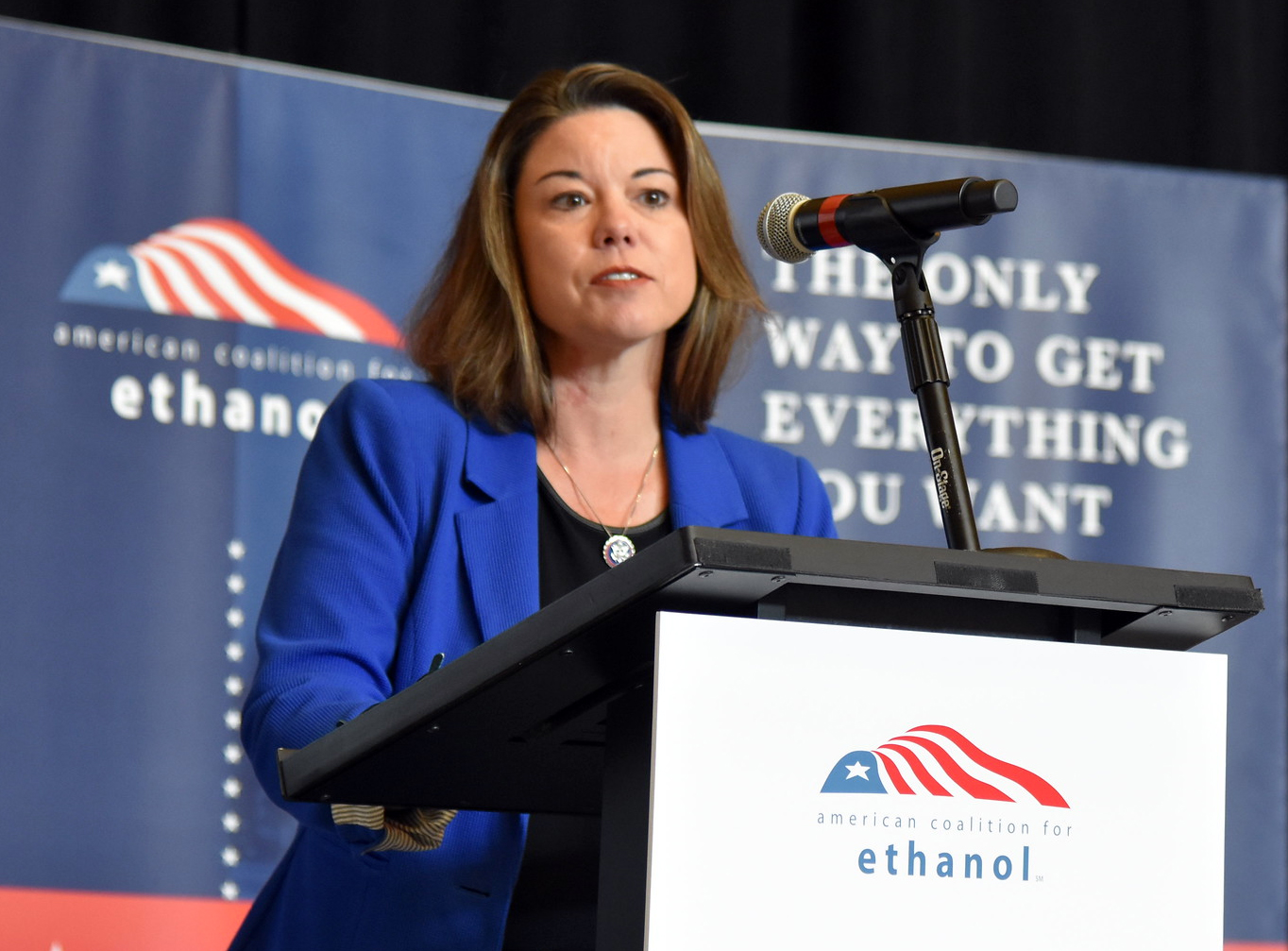 Rep. Craig Hopes EPA Will Allow Year Round E15 | AgNewsWire